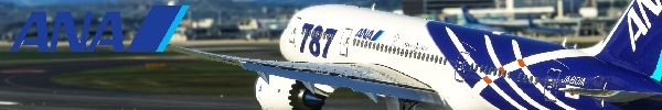 The Virtual Airline List
